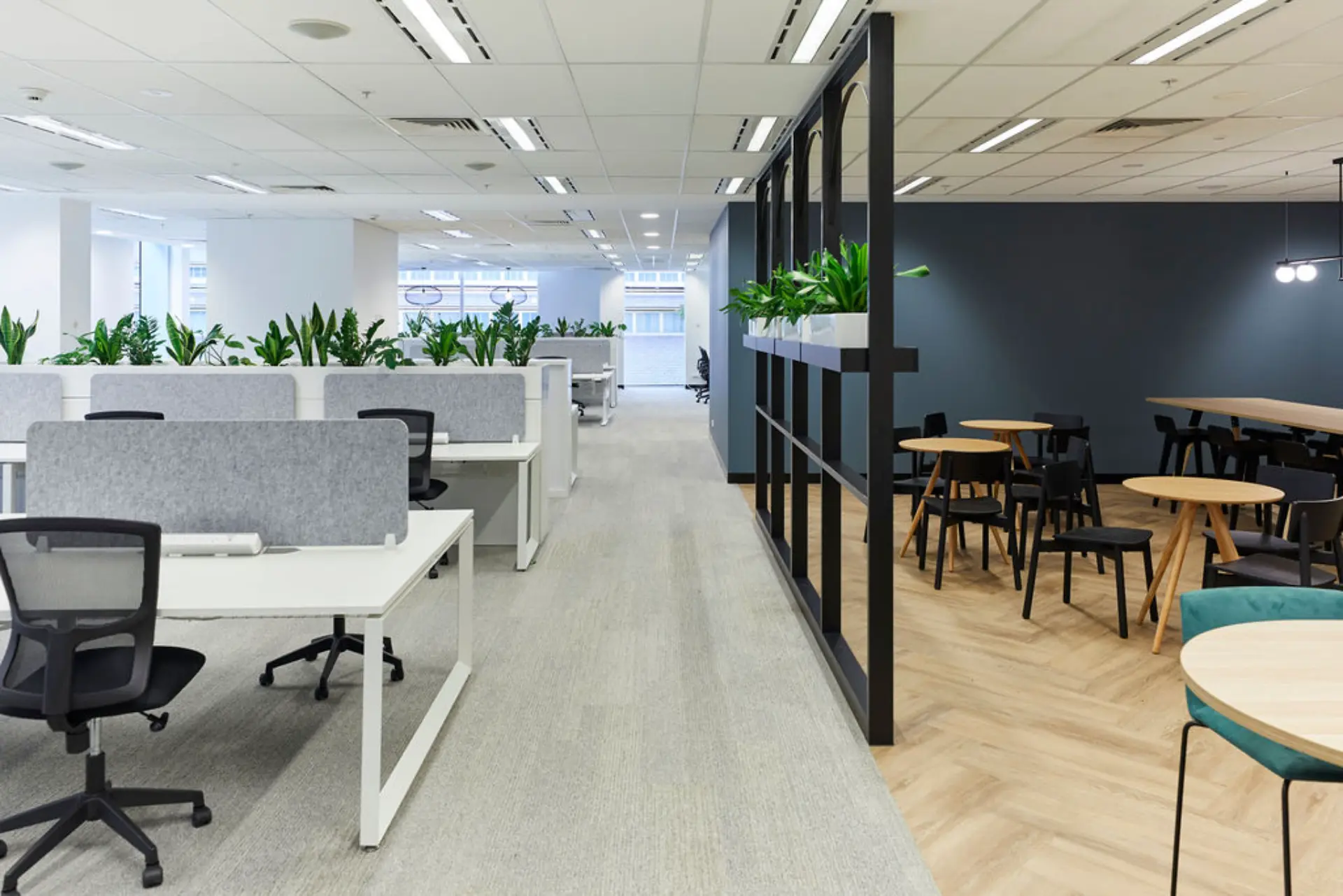 REST - MacDonald and Co